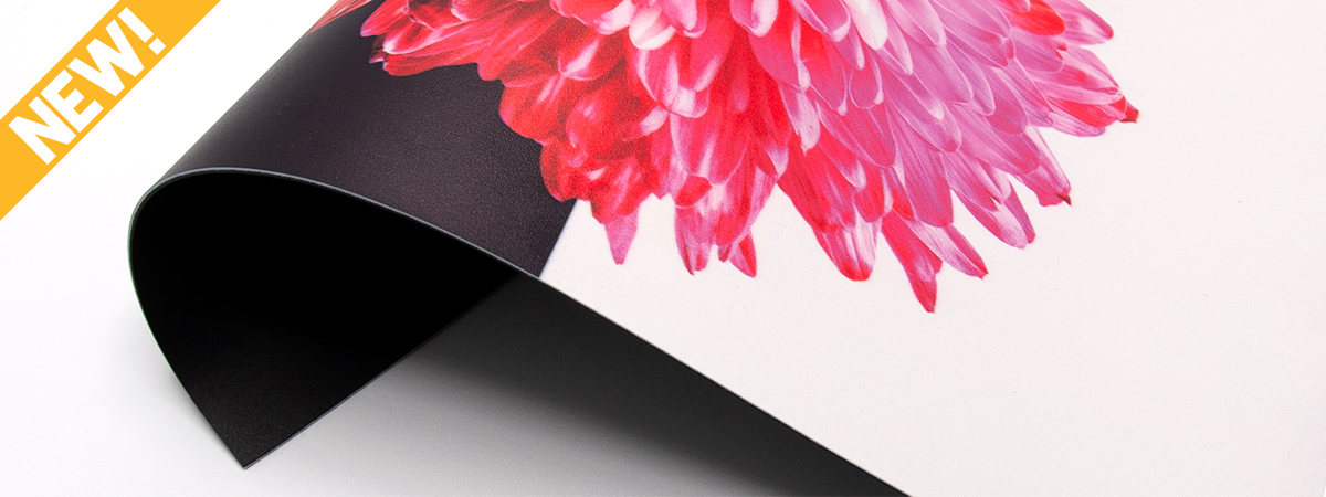 DanceCarpet Duplex Print: printable dance floor