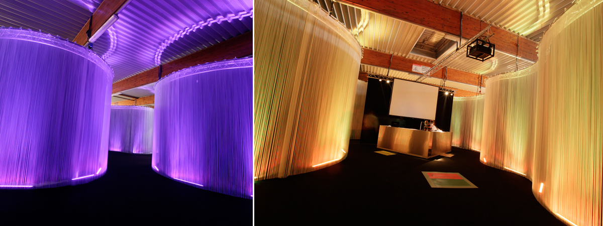 Crazy Days | ShowTex