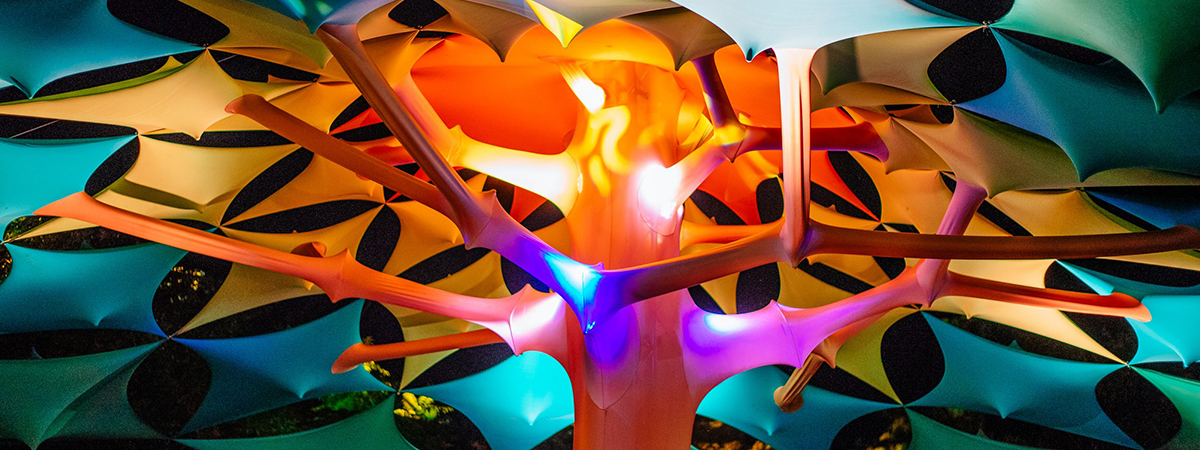 Tree of life: a life-size tree made of stretch fabric by ShowTex